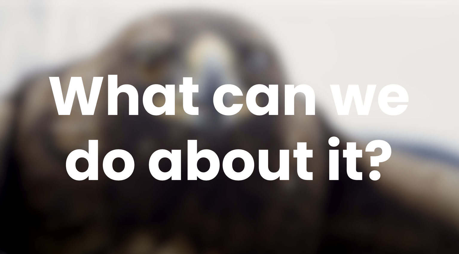 Treating Micropollutants at Kungsbacka Municipality - Mellifiq